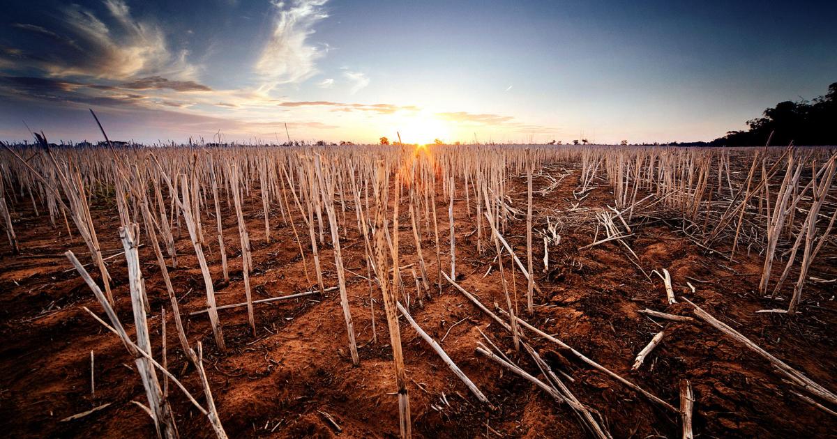 Agricultural Sciences | Master's programme | University of Helsinki