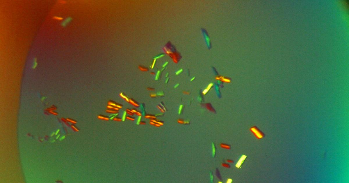 Crystallization | Integrated Structural Cell Biology | University of ...