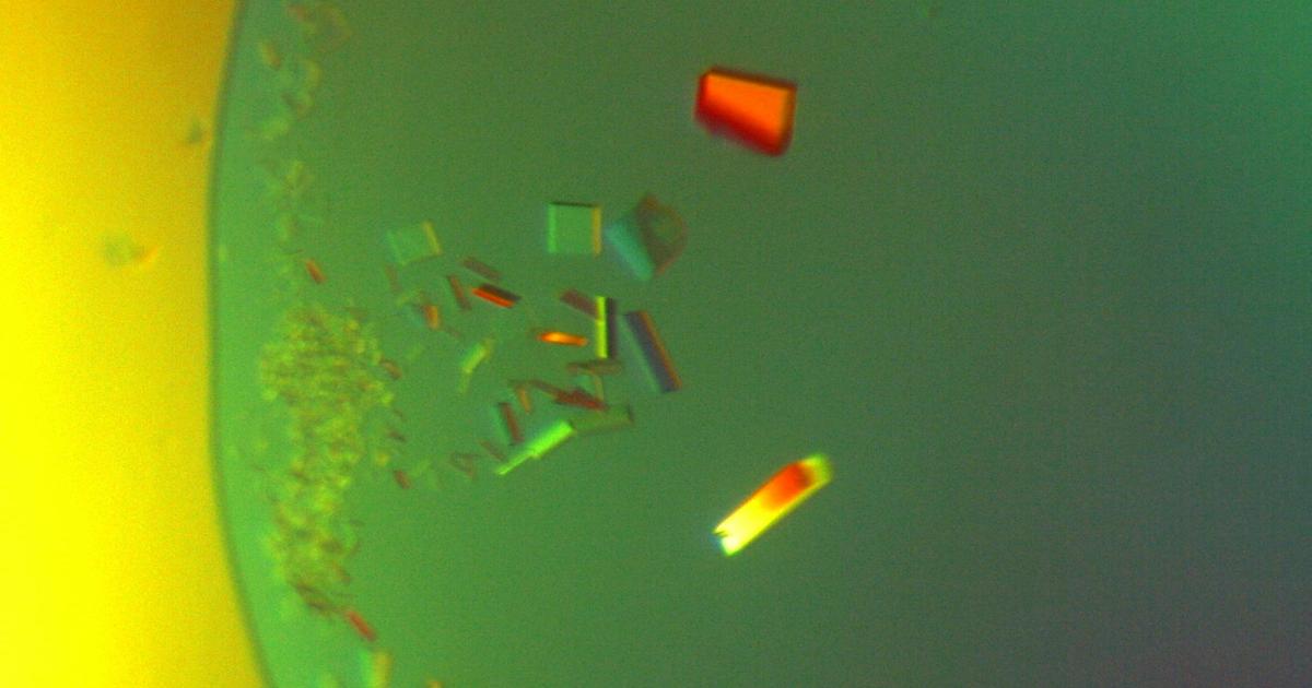 Services | Integrated Structural Cell Biology | University of Helsinki