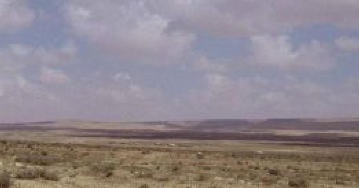 Sites at Nadra in the Central Eastern High Plateau | Archaeological ...