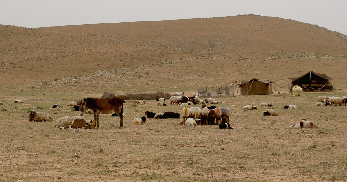 Pastoral nomadism | Archaeological Survey and Mapping Project of Jebel ...