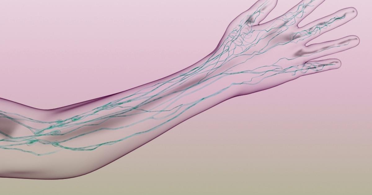 Lymphologie 2019 | Lymphangiogenesis Research and Antibody Development ...