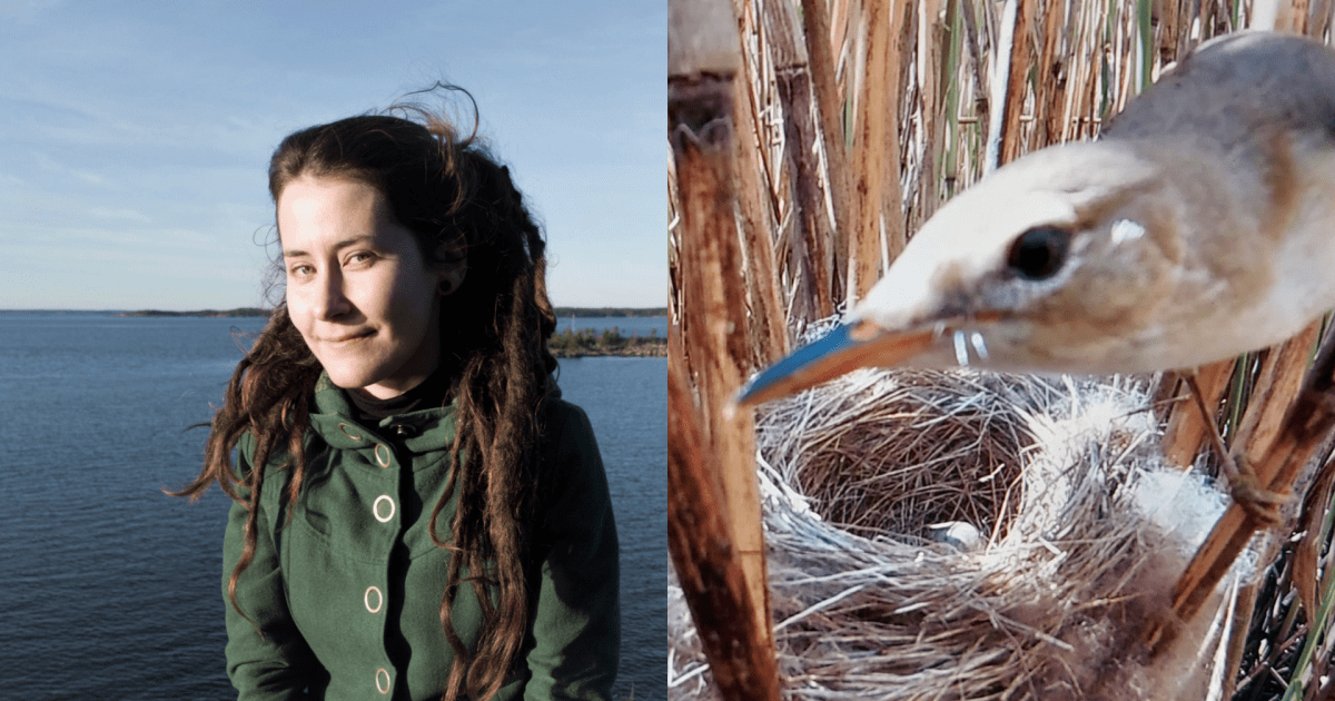 Congratulations to Nora Bergman for her LUOVA doctoral researcher ...