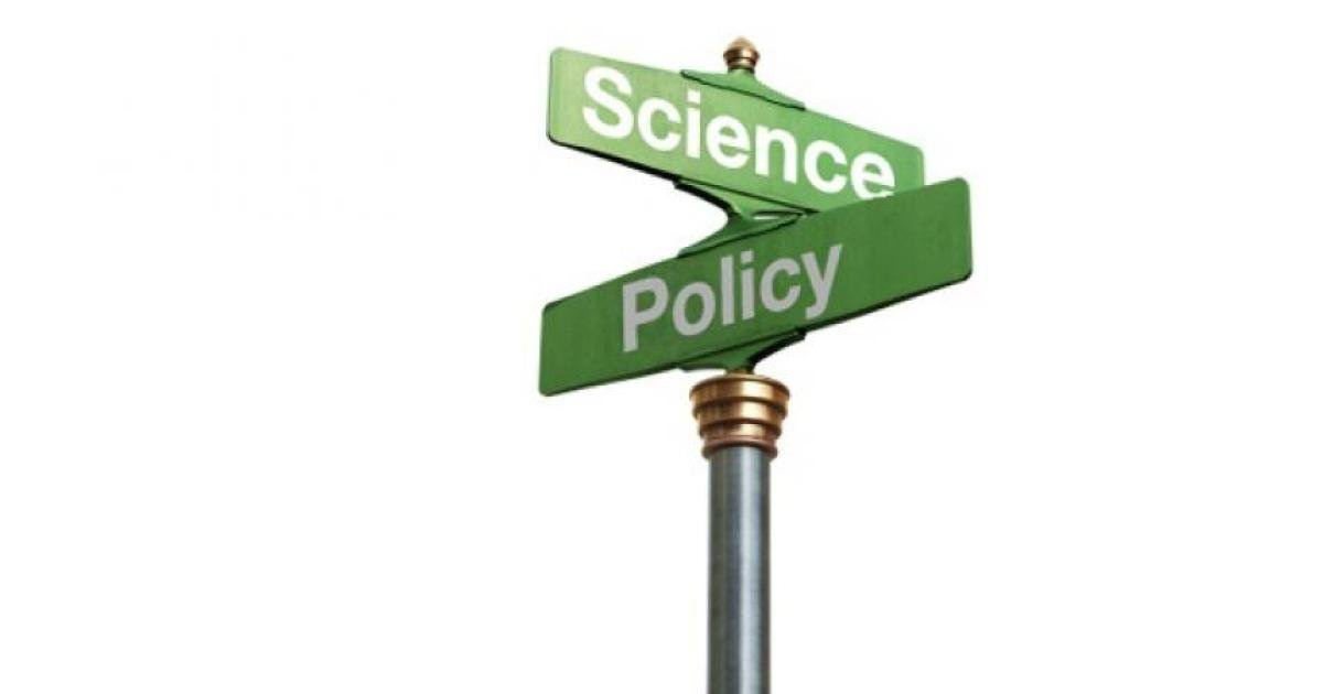 How to generate and share evidence effectively? | International Forest ...