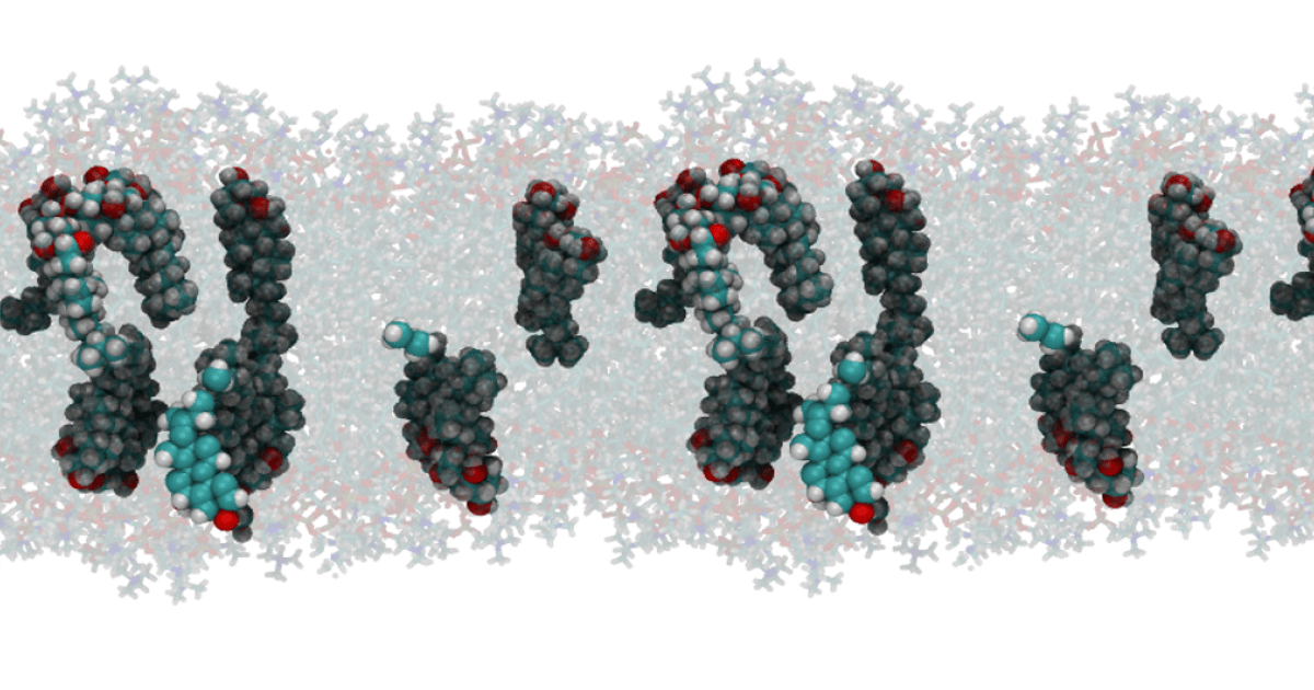 Cholesterol oxidation products and their biological importance ...