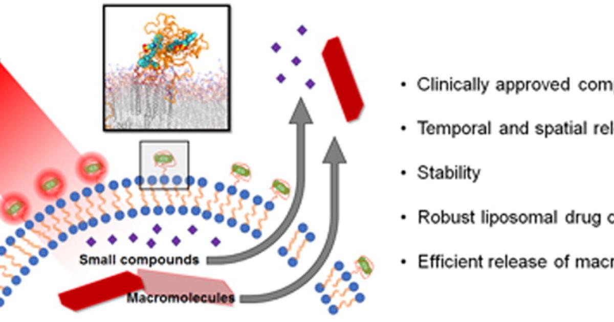 Indocyanine Green-Loaded Liposomes for Light-Triggered Drug Release ...