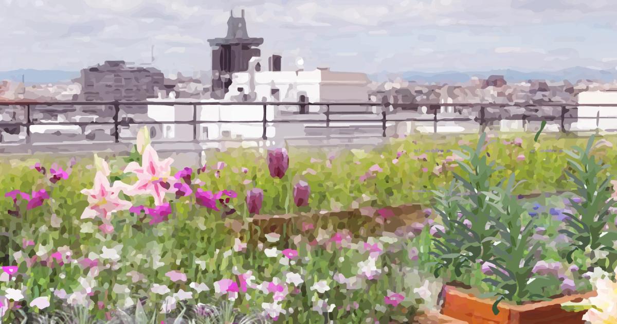 Microbes help urban greenery plants to thrive | University of Helsinki