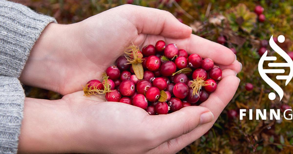 FinnGen study makes new dataset publicly available for genetic ...