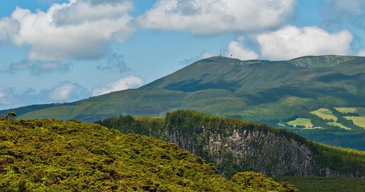 The other side of the current insect extinction: exotic species ...