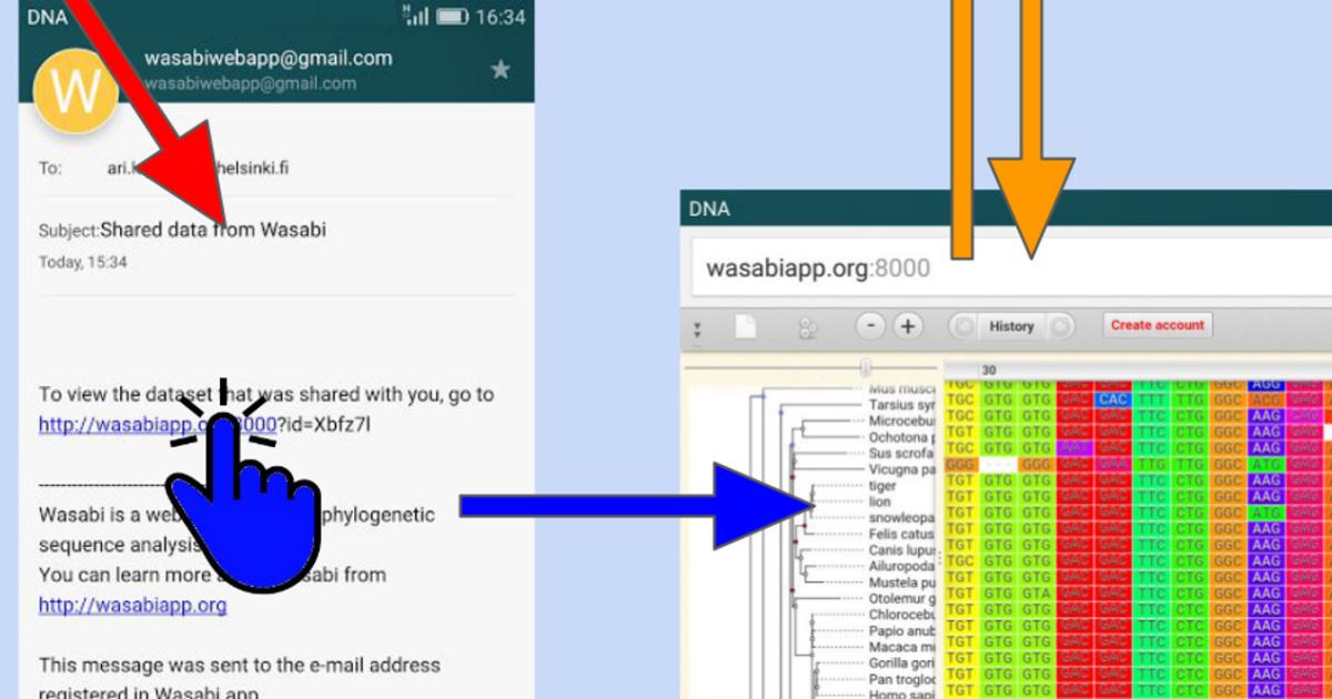 Wasabi visualises Ensembl genome browser data | University of Helsinki