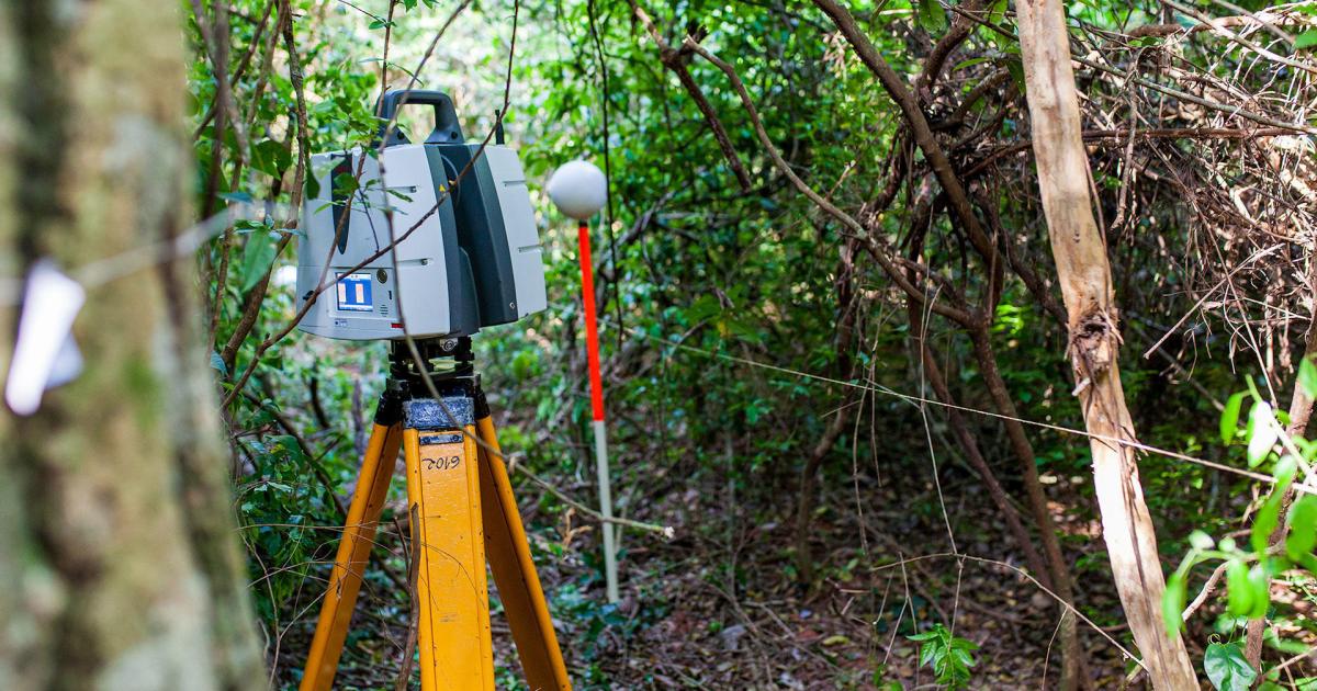 Research | Forest Ecology and Management | University of Helsinki