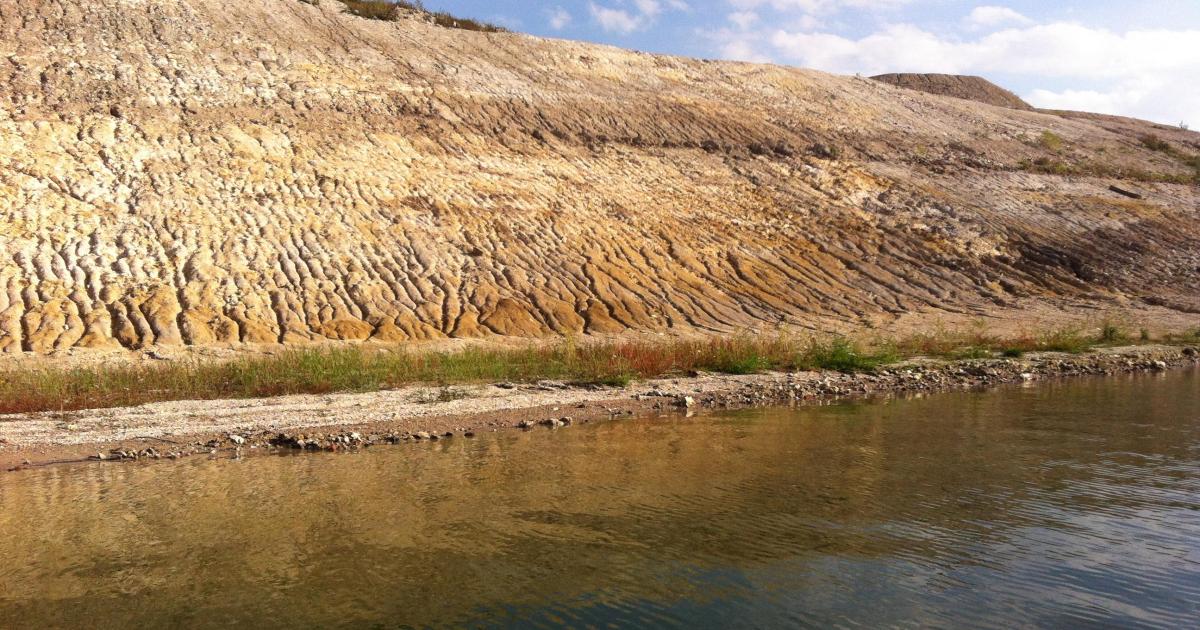 Disturbances in lake ecosystems | Lake Ecosystem Dynamics | University ...