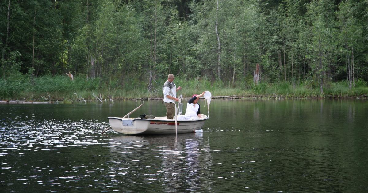 Brownification | Lake Ecosystem Dynamics | University of Helsinki