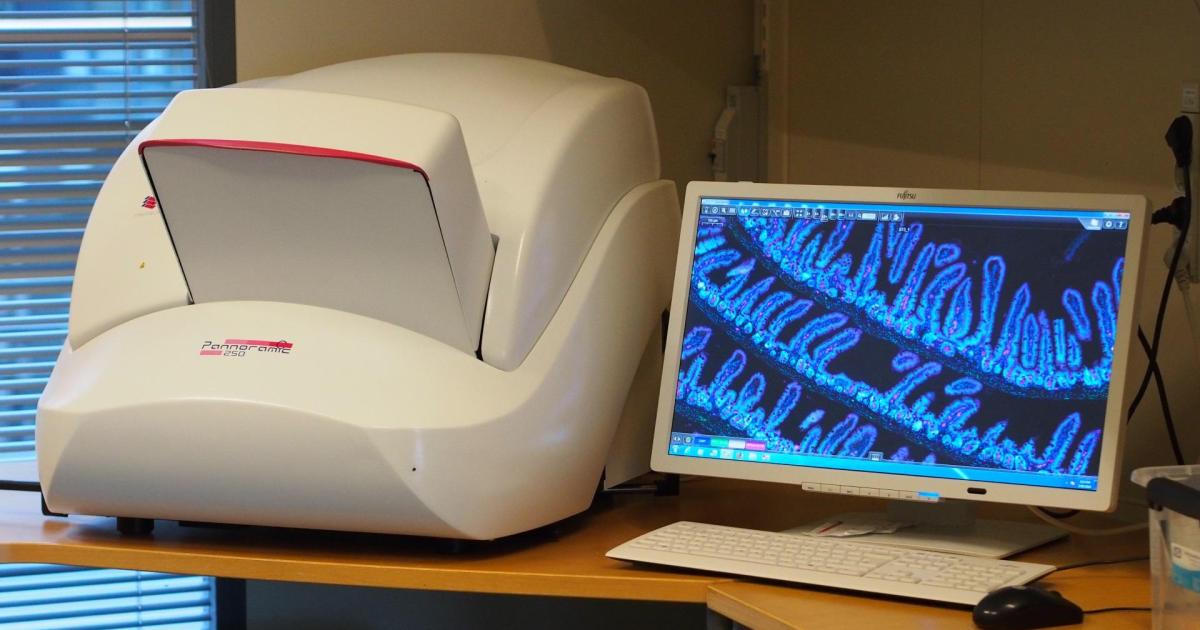 Scanning | Genome Biology Unit | University of Helsinki