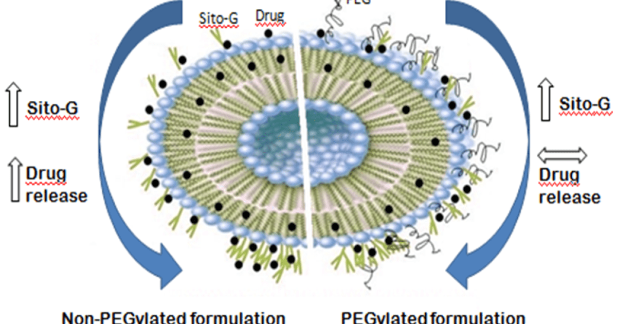 Drug delivery liposomes and extracellular vesicles | Pharmaceutical ...