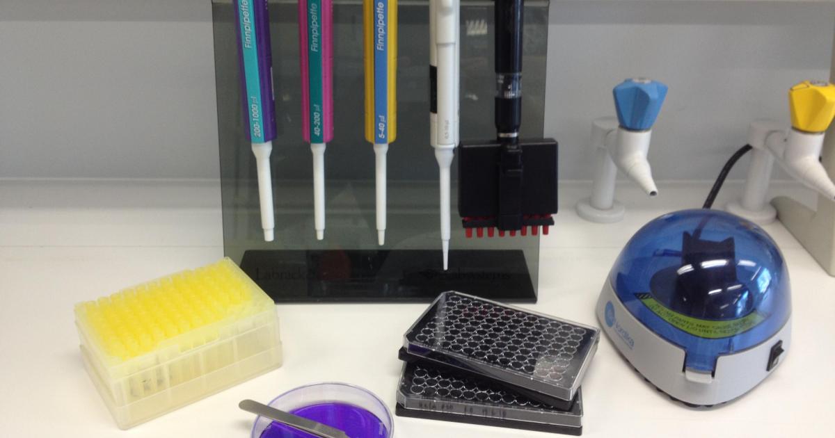 Research | Viral Cell Biology | University of Helsinki