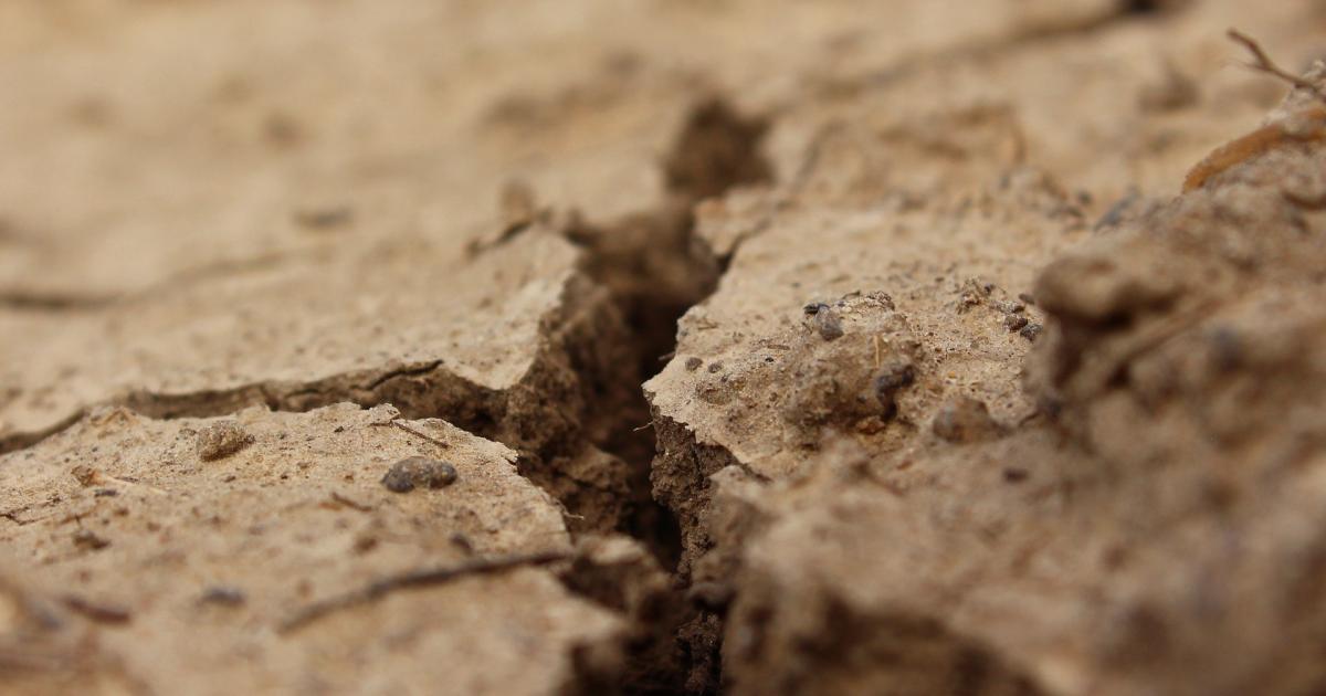 Environmental Soil Science | University of Helsinki