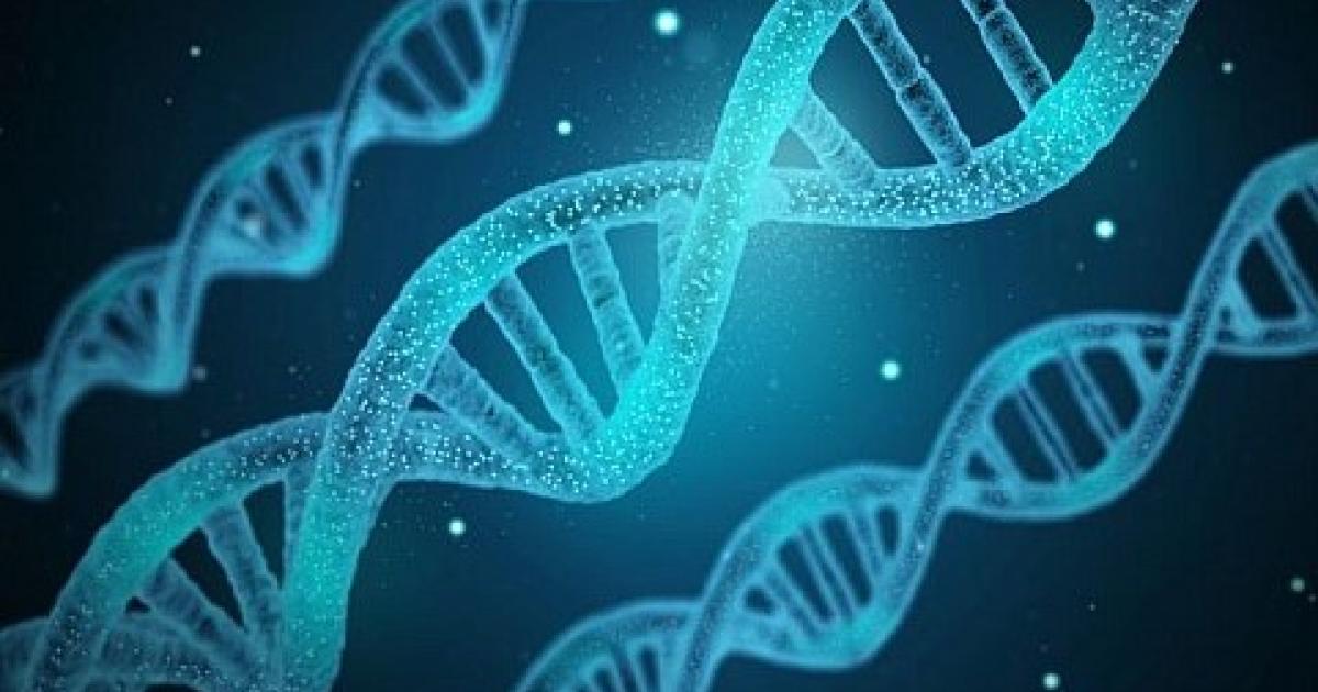 Epigenetics of Complex Diseases & Traits | University of Helsinki