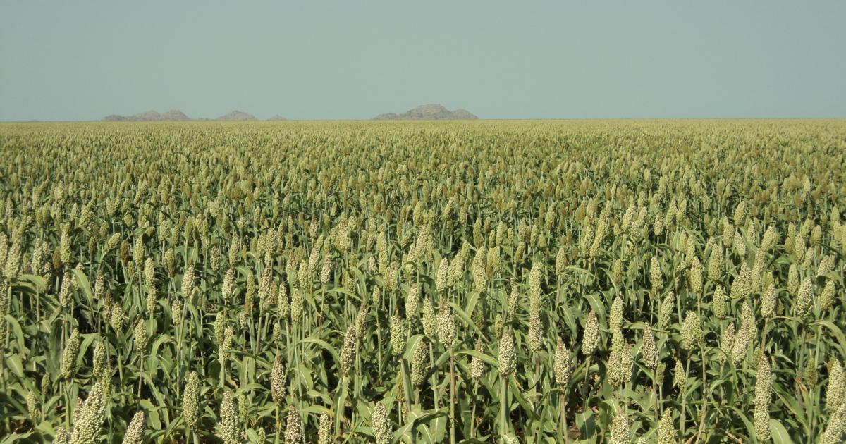 Agricultural Monitoring using Earth Observation | University of Helsinki