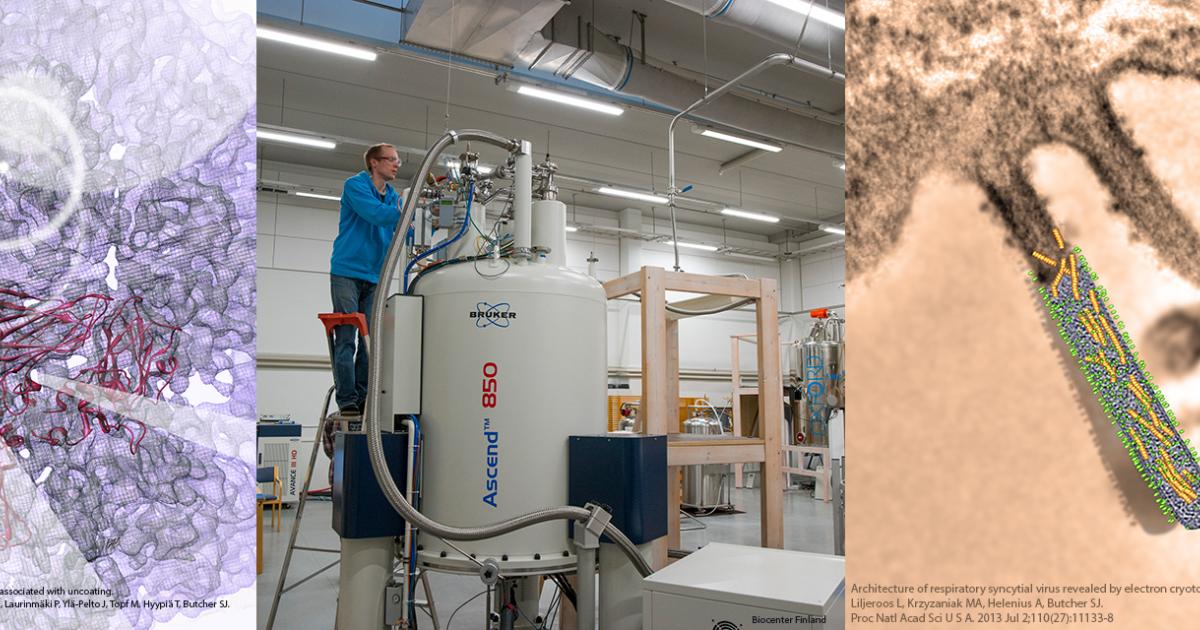 Integrated Structural Cell Biology | University of Helsinki