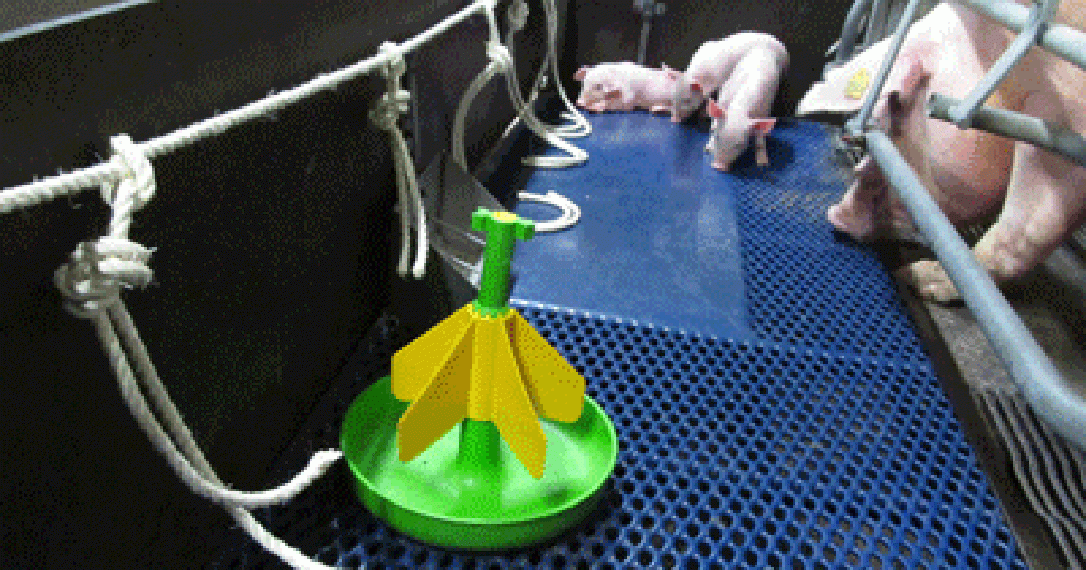 Sisal rope | Research centre for animal welfare | University of Helsinki