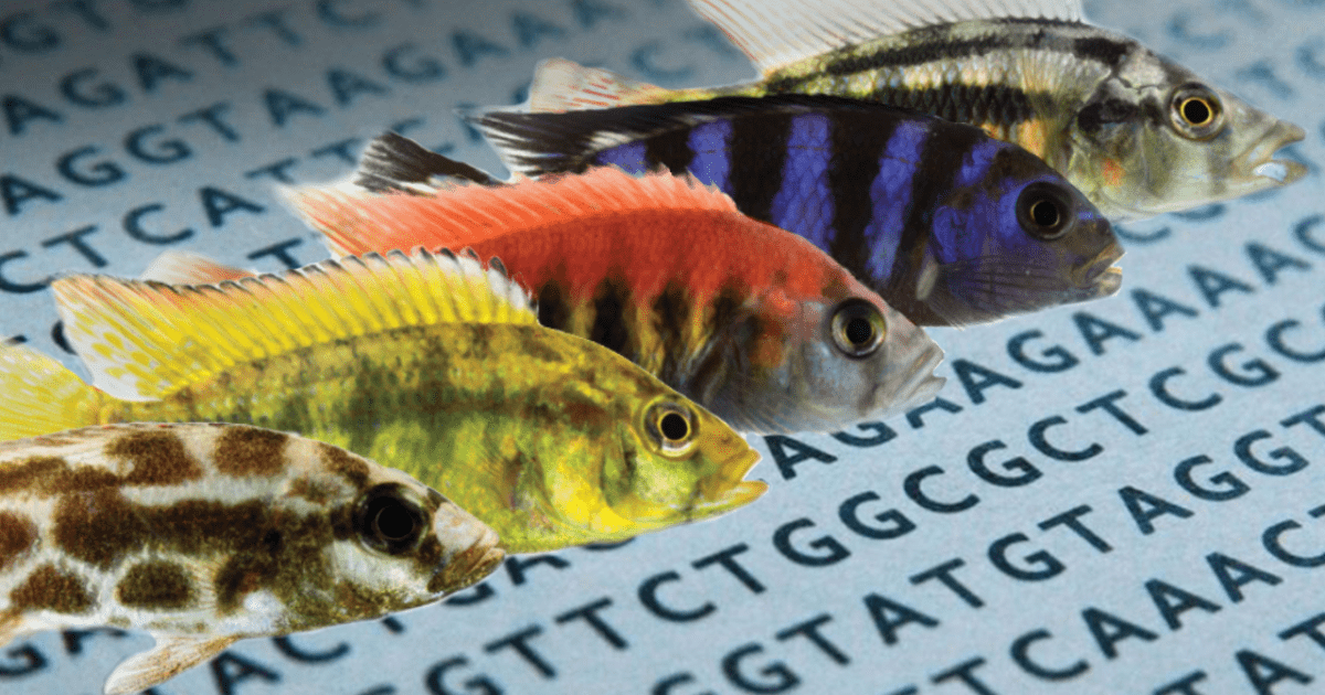 Integrative Evolutionary Biology | University of Helsinki