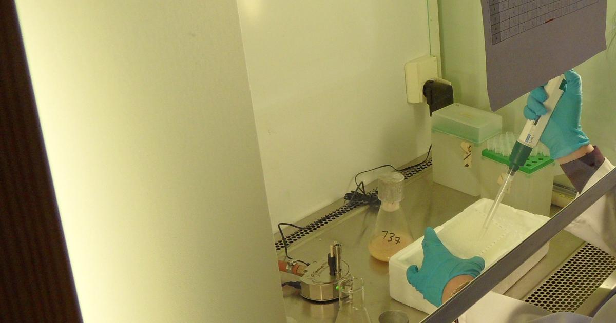 People | Fungal Genetics and Biotechnology | University of Helsinki