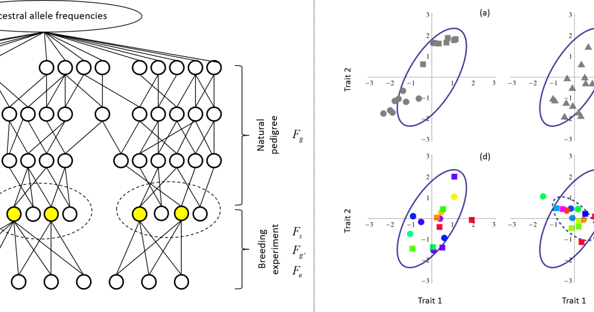 Software | Statistical Ecology | University of Helsinki