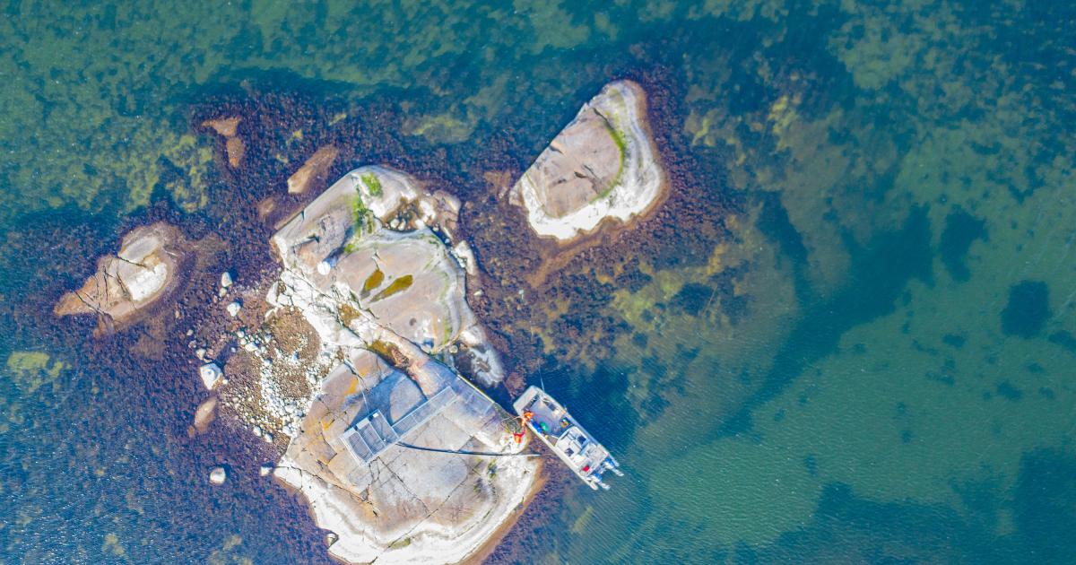 CoastClim-tutkimuskeskus etsii vastausta Itämeren vedenalaisen elämän ...