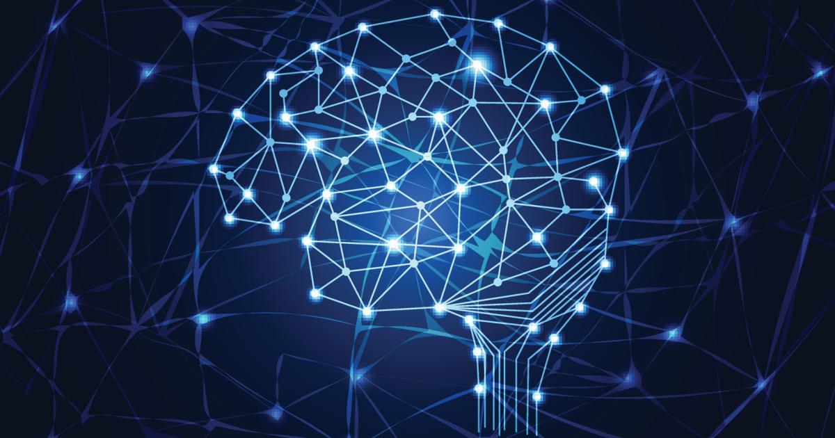 Computational models for a better overall understanding of the brain ...