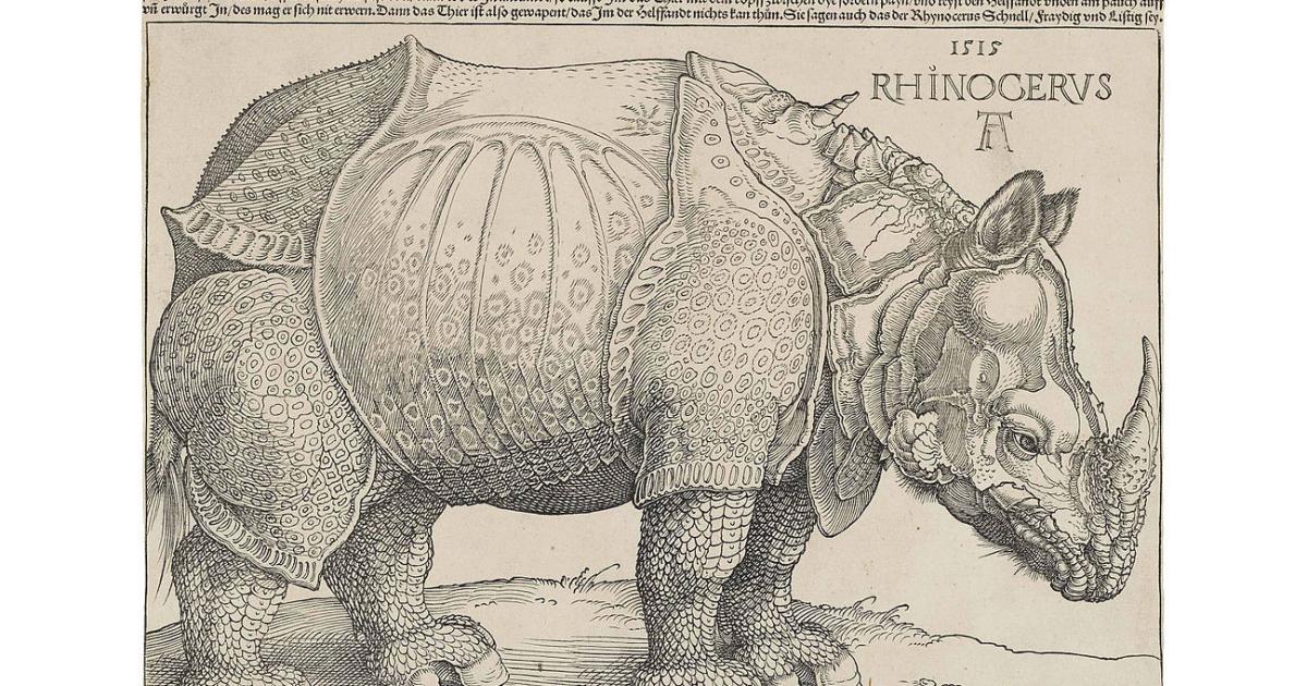 History of rhino images illustrates changing human-rhino relations and ...