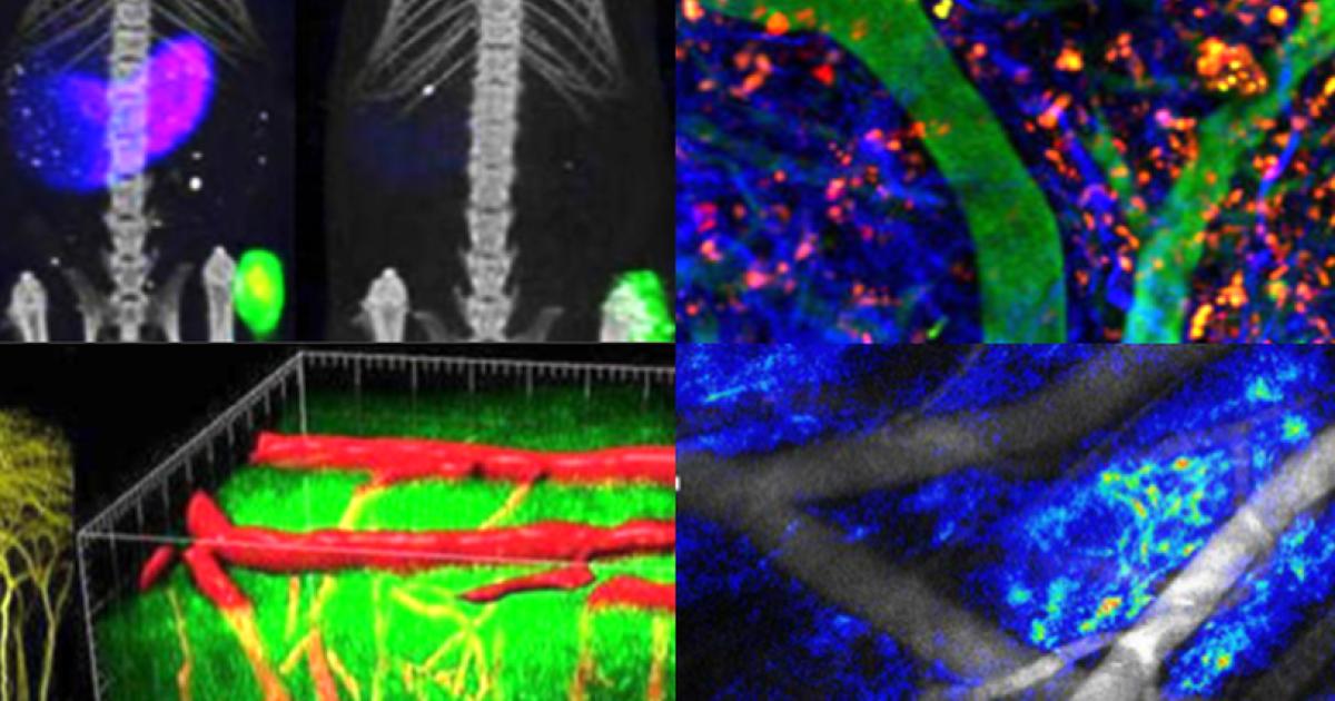 DPBM-148 In Vivo Animal Imaging: Methods and Applications, 2 cr ...