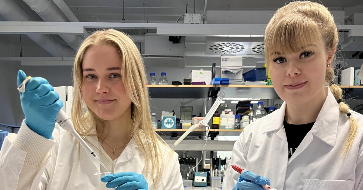 Research orientation in Talman Lab | Regenerative Cardiac Pharmacology ...