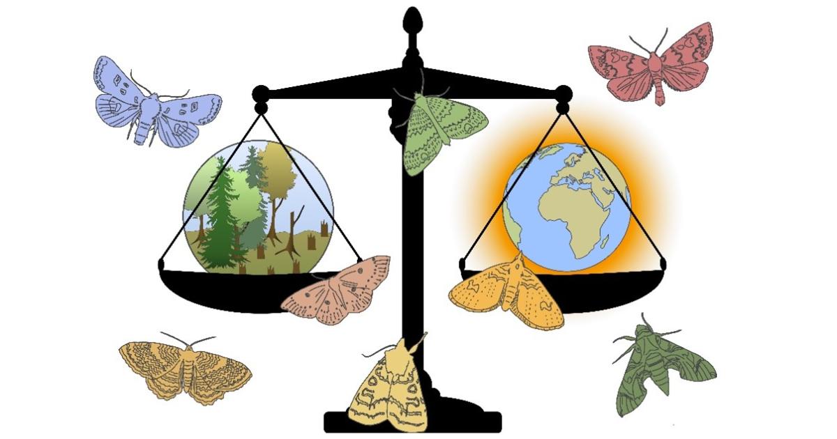 Beyond the climate – climate change and habitat loss together alter ...