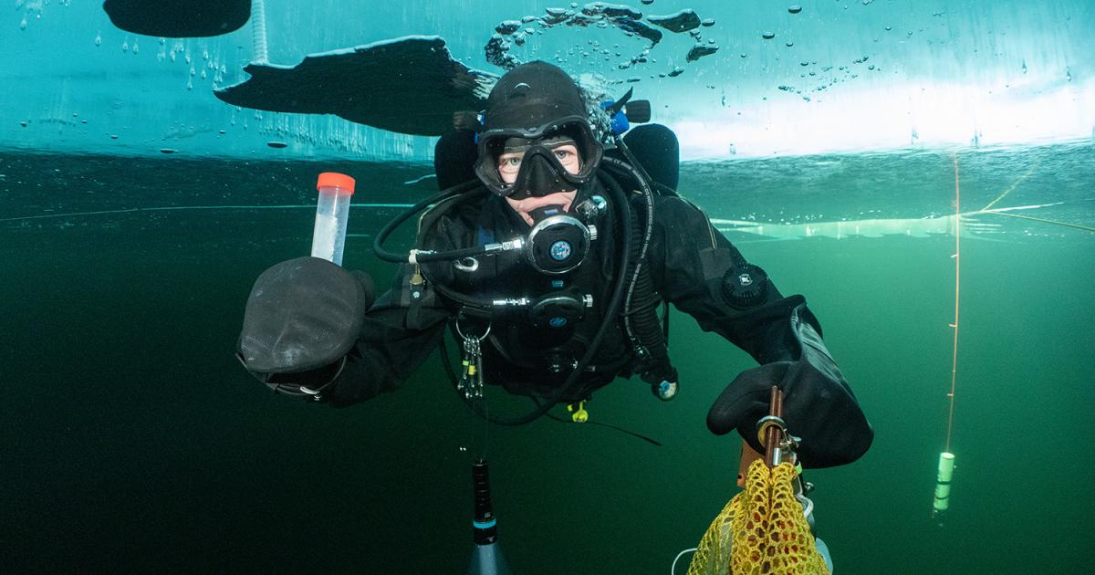 Occupational Scientific Diver | Tvärminne Zoological Station ...