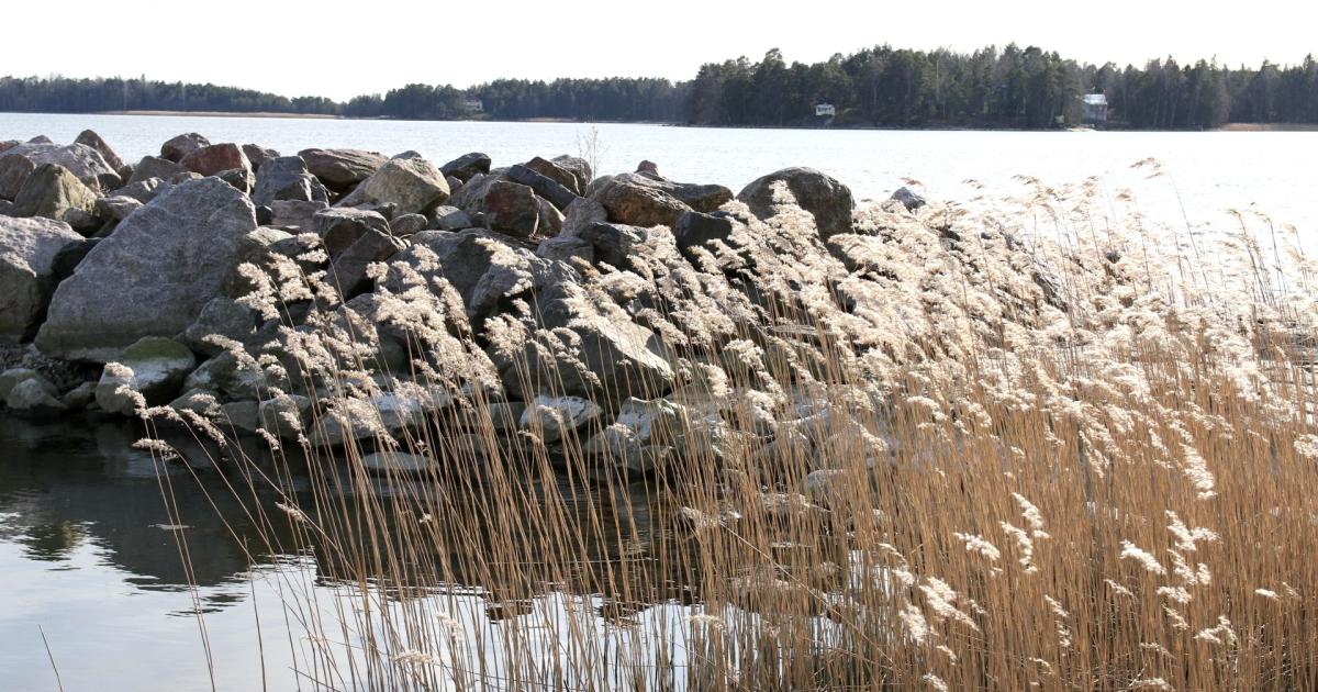 Julkaisut ja esitykset | Päihteiden käyttö ja palvelutarpeet ...