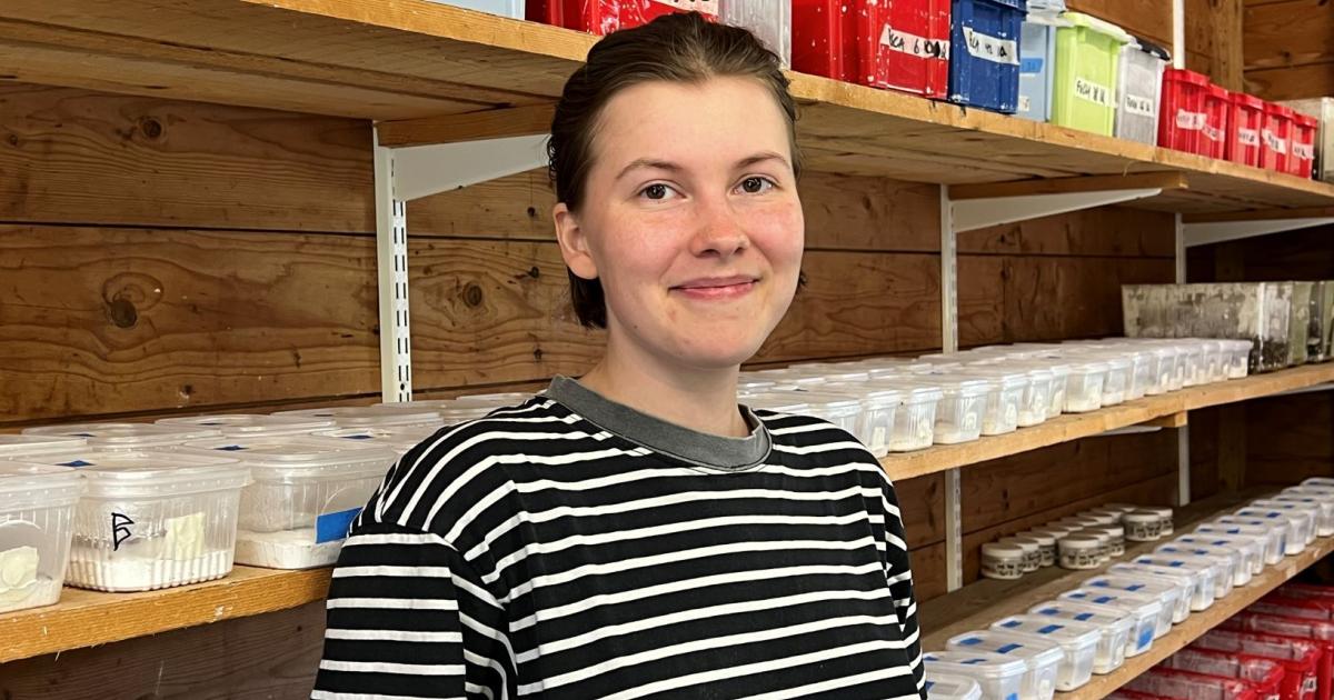 Laura Haikonen jatkaa pitkää tutkimusperinnettä pienten ...