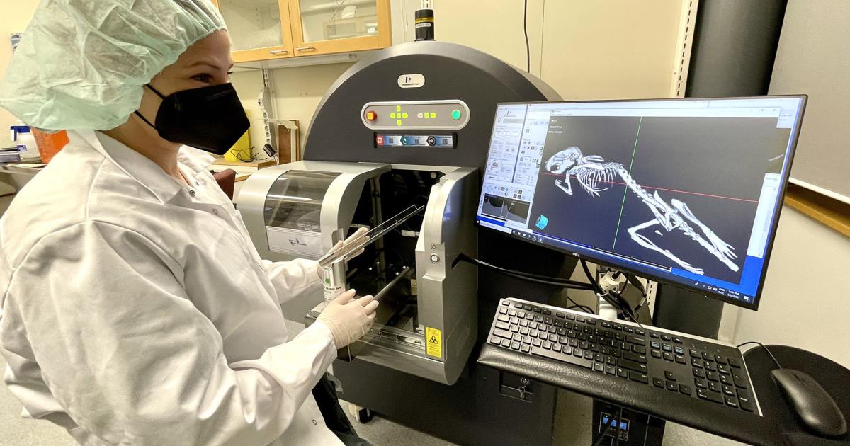 State-of-the-art imaging techniques reveal what takes place in live ...