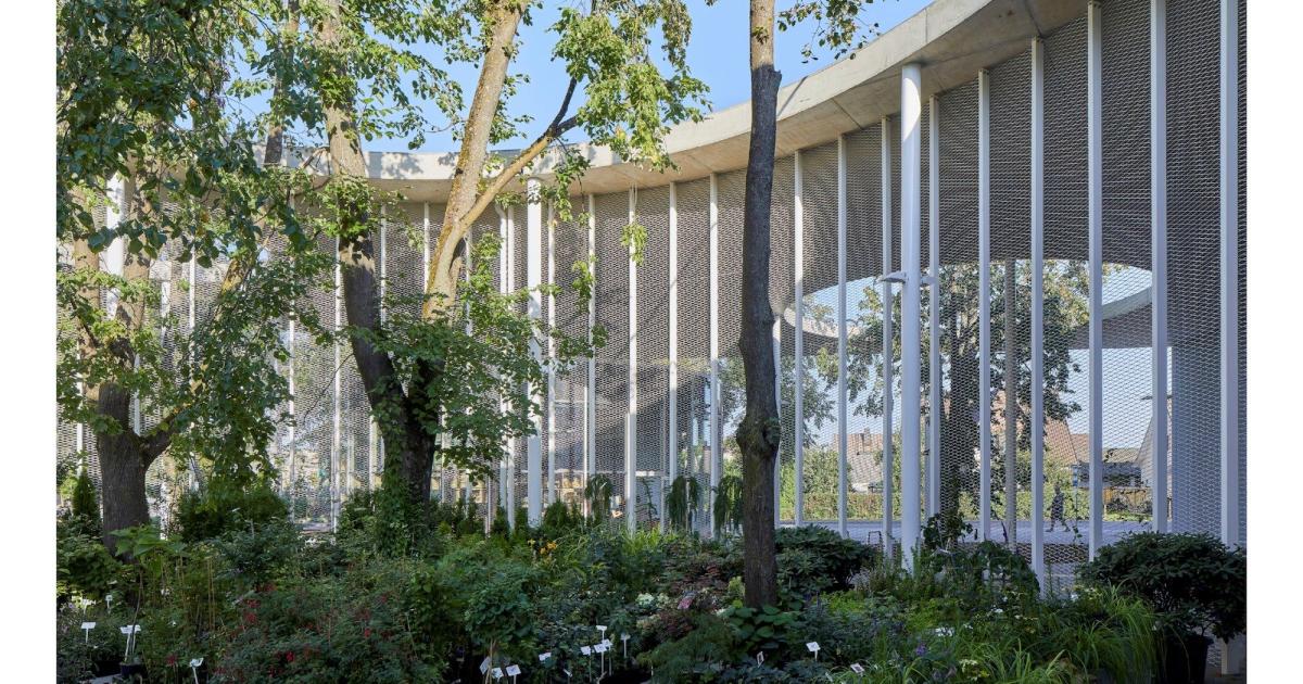 Guest Seminar: Laboratory for [Living] Tree [as] Architecture: Trees ...