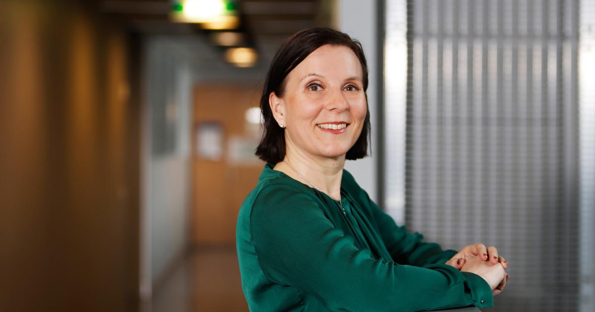 AI methods help create sustainable transport solutions and protect ...