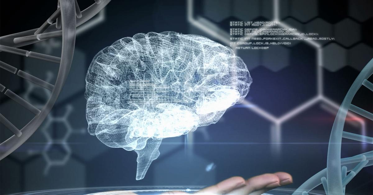 Living Human Brain – Development of human-derived mini-brain close to ...