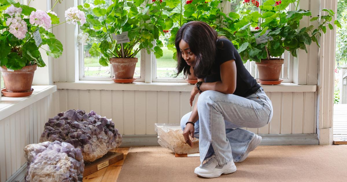 Kumpula Geological Collections | Finnish Museum of Natural History
