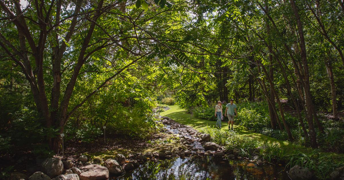 About the Kumpula Garden | Finnish Museum of Natural History