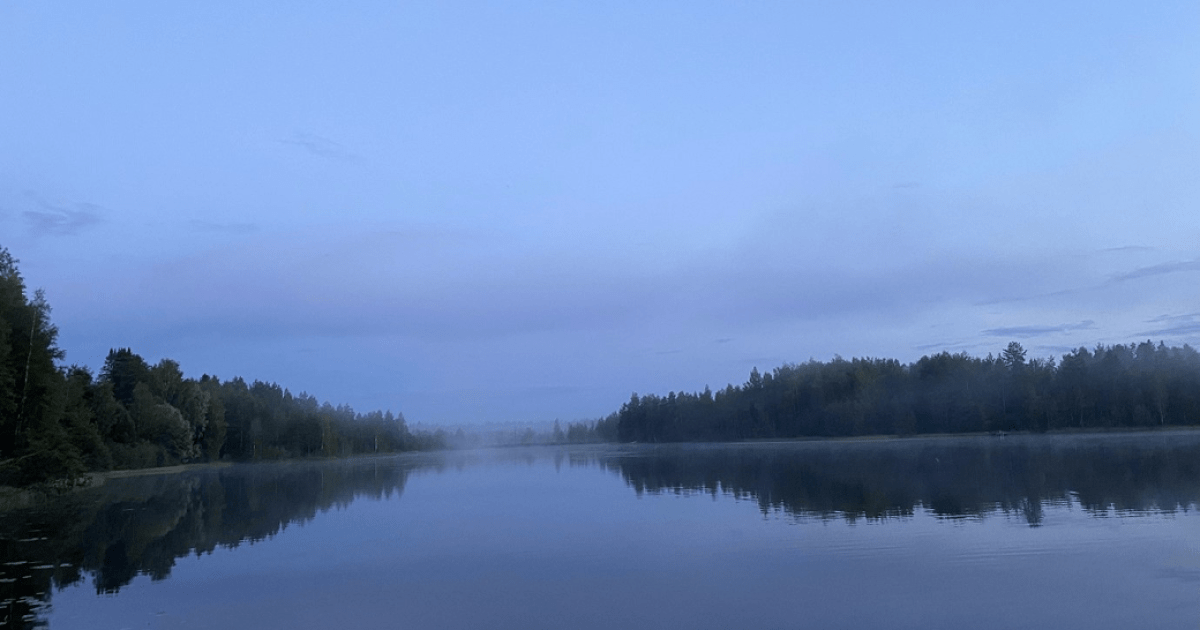 ANEE Annual Meeting 2023: Hyytiälä forestry field station, Juupajoki ...