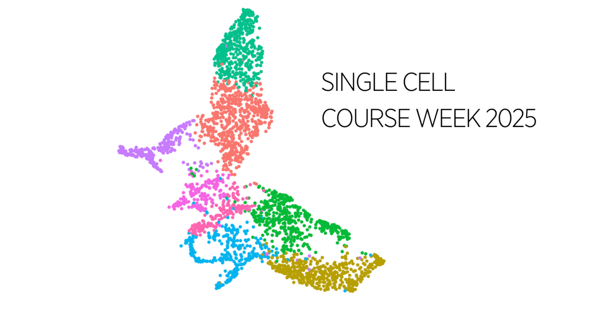 Single Cell Course Week 2025 | HiLIFE – Helsinki Institute of Life ...