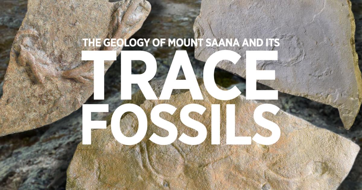 Mount Saana trace fossils | Science trails | University of Helsinki