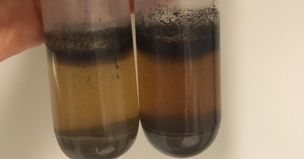 Research | Soils and Climate Change | University of Helsinki