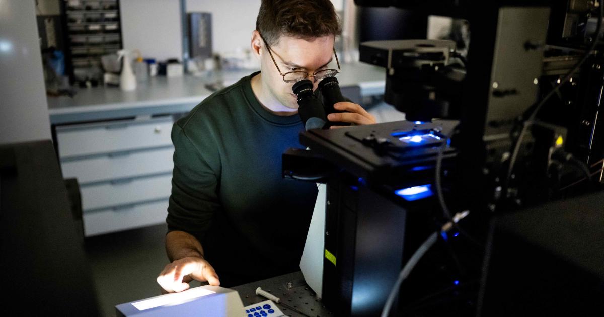 Young Scientist Award for Excellence in Drug Research 2025 to Teemu ...