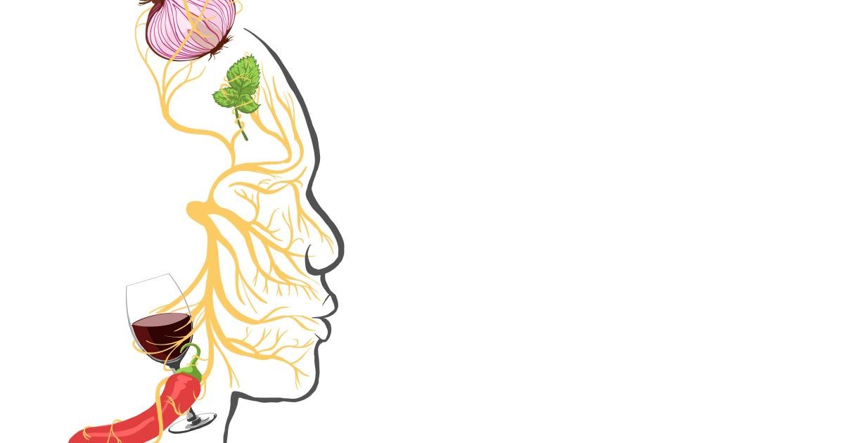 Individual chemesthetic perception may affect dietary habits ...