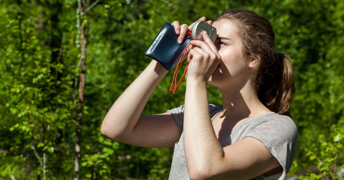 Forest Ecology and Management | University of Helsinki